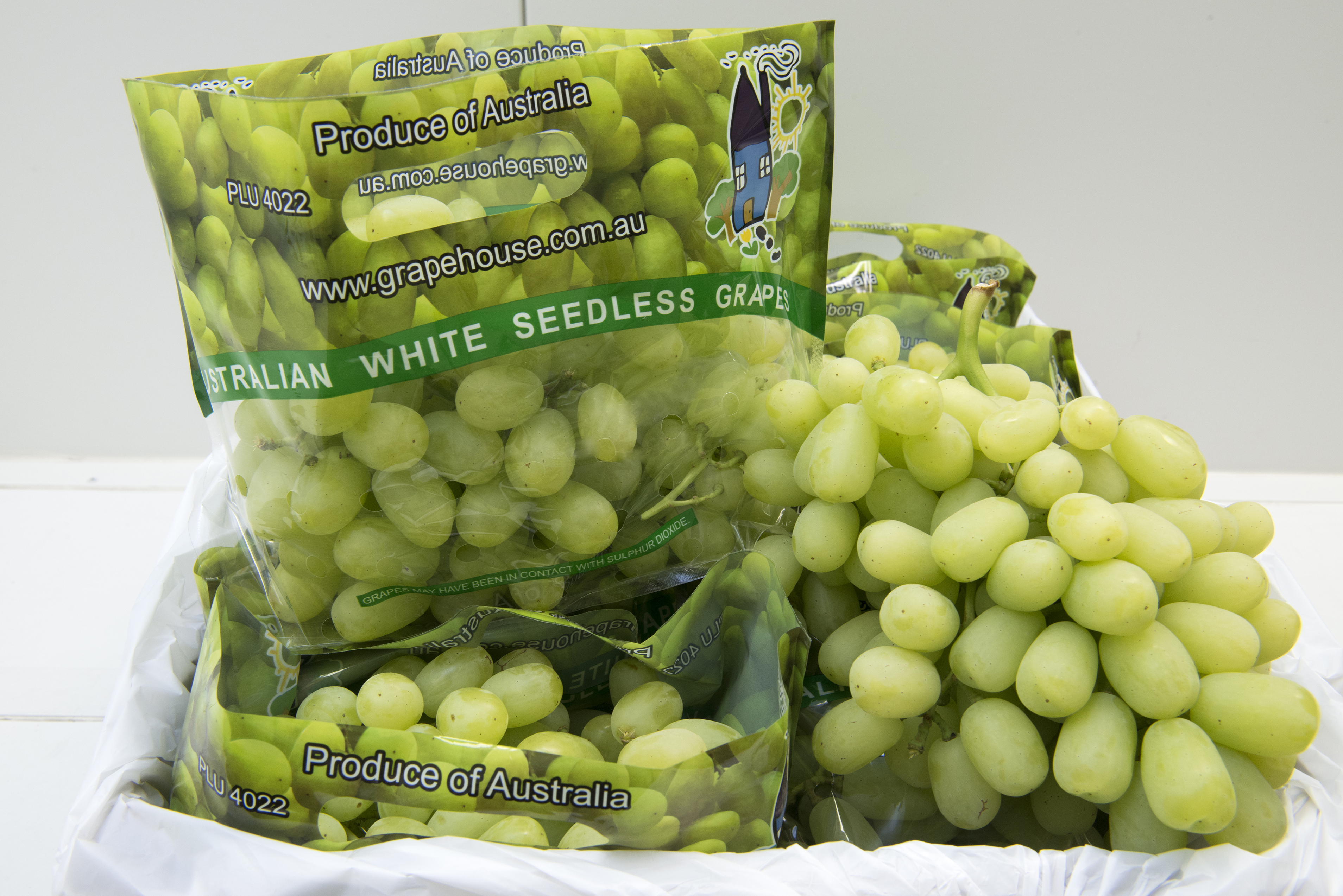 The Grape House – Gallery