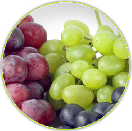 The Grape House Pty Ltd