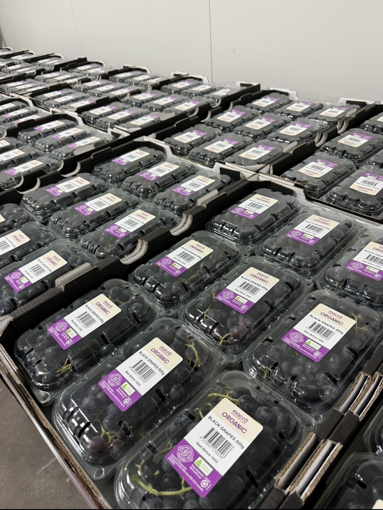 ORGANIC GRAPES – The Grape House Group